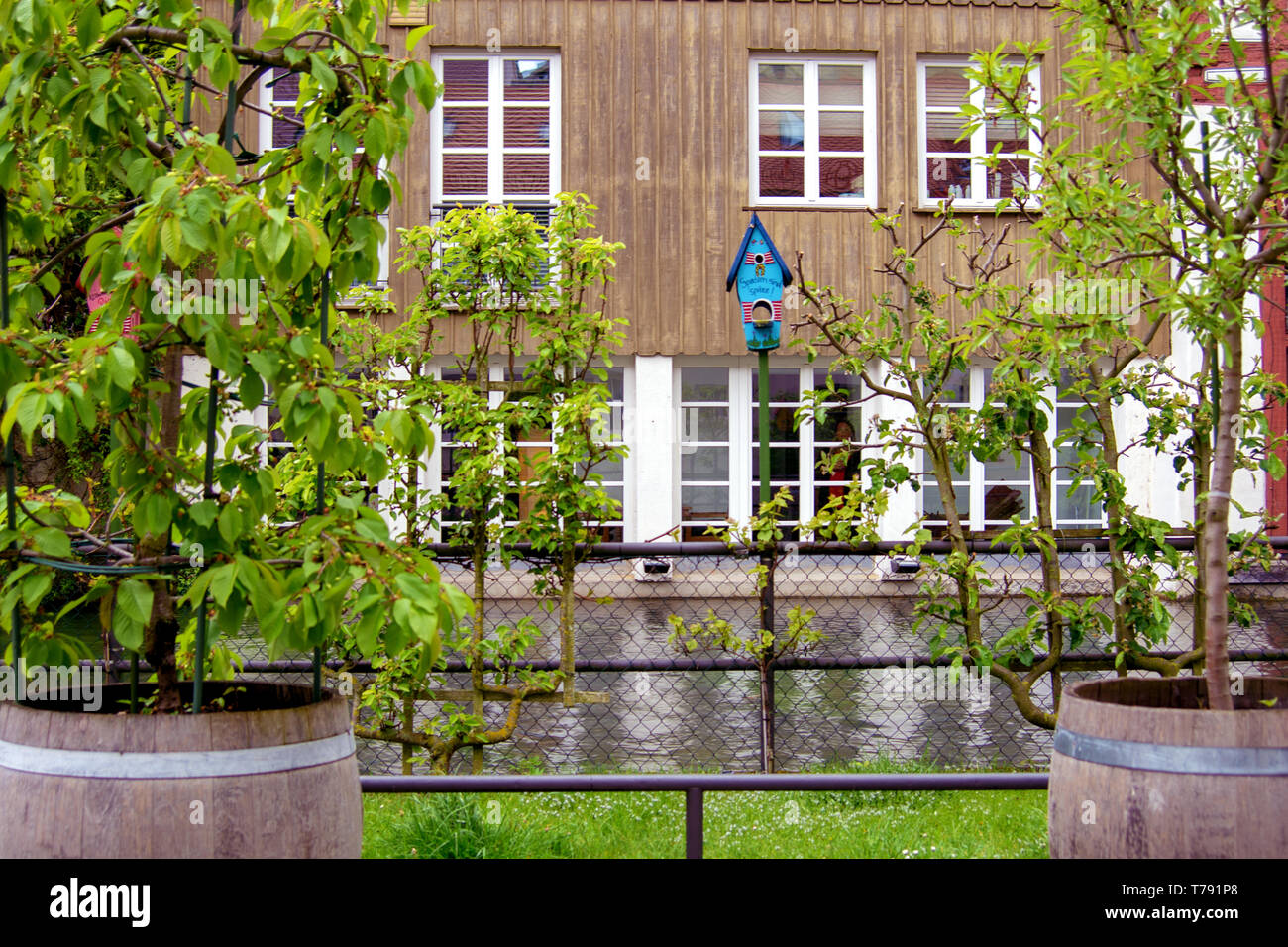 River blue through Ulm Stock Photo - Alamy
