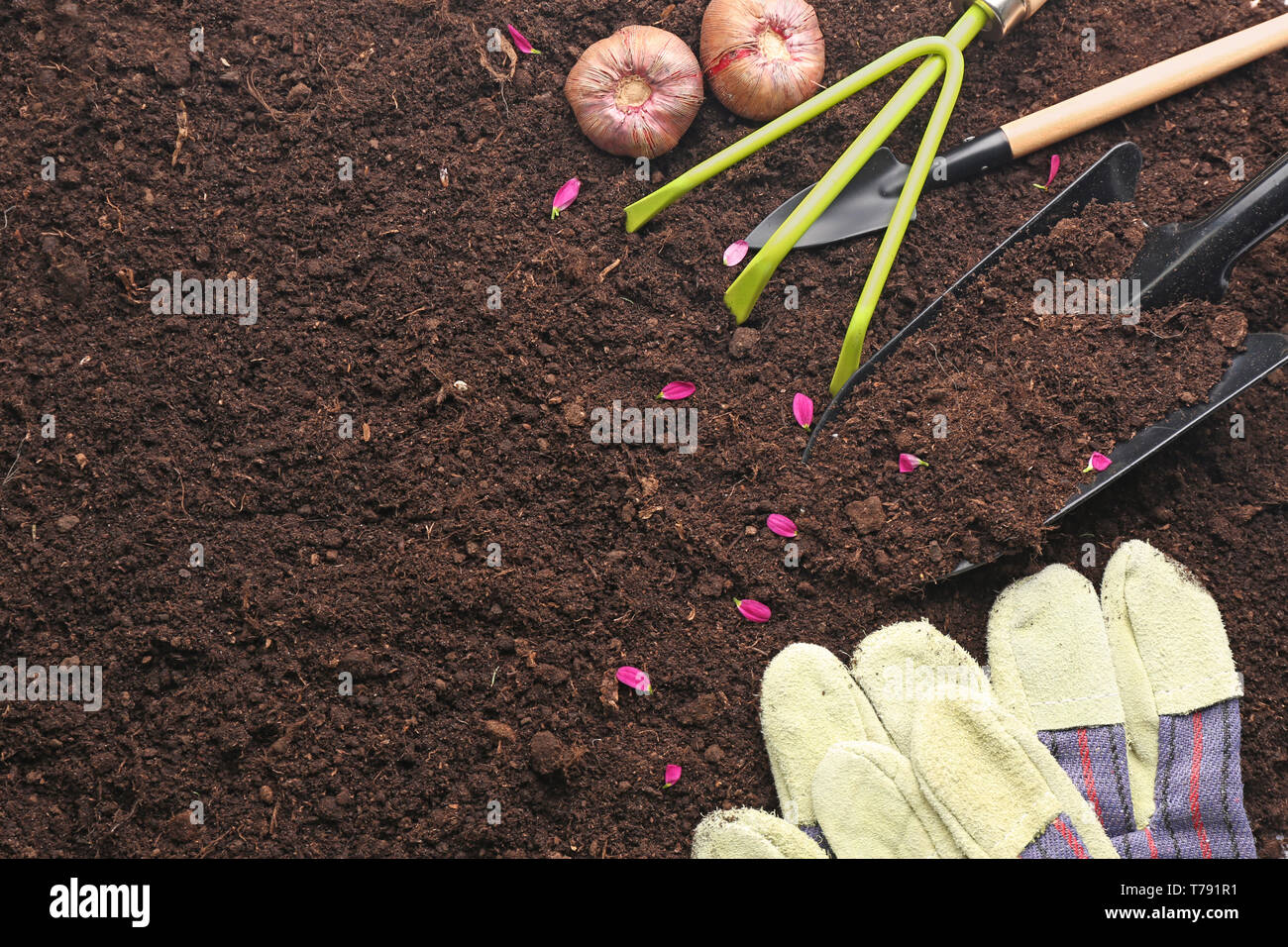 Gardening tools and gloves on ground Stock Photo - Alamy