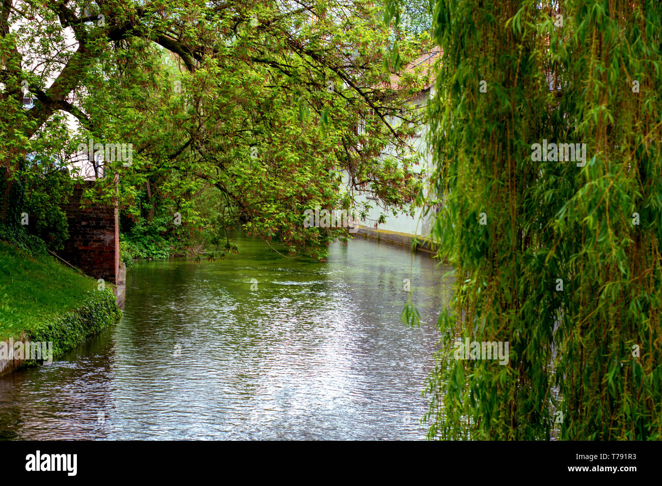 River blue through Ulm Stock Photo - Alamy