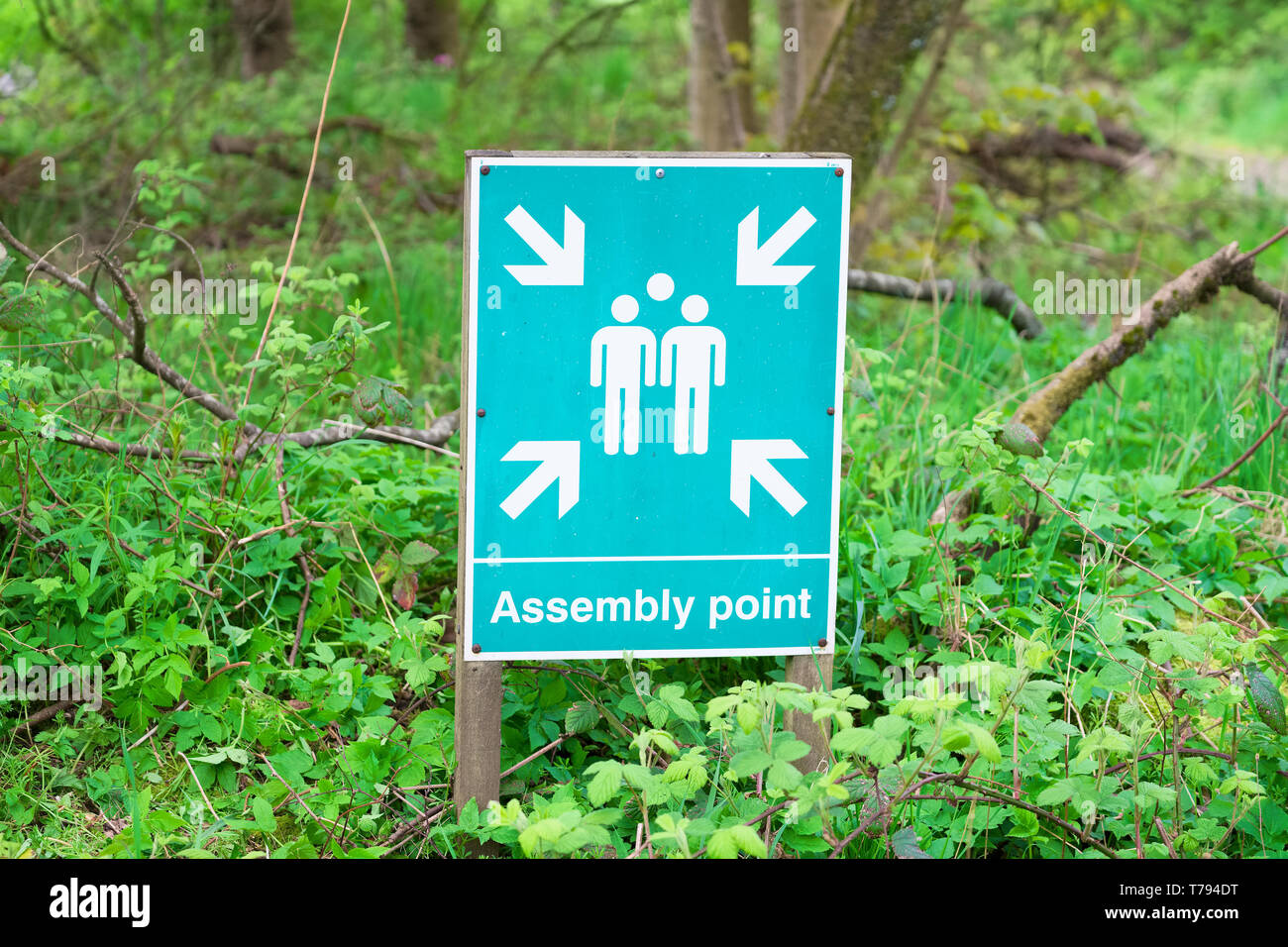 Fire assembly point sign in rural countryside woodlands at nature ...