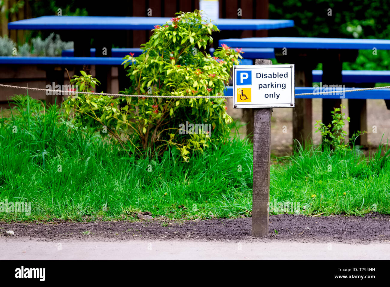 Disabled parking on in rural countryside car park at nature reserve ...