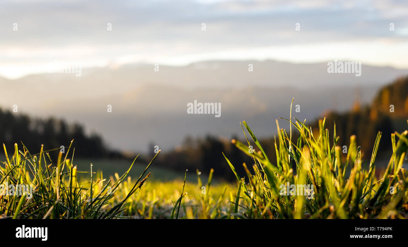 Dynamic depth of field hi-res stock photography and images - Alamy