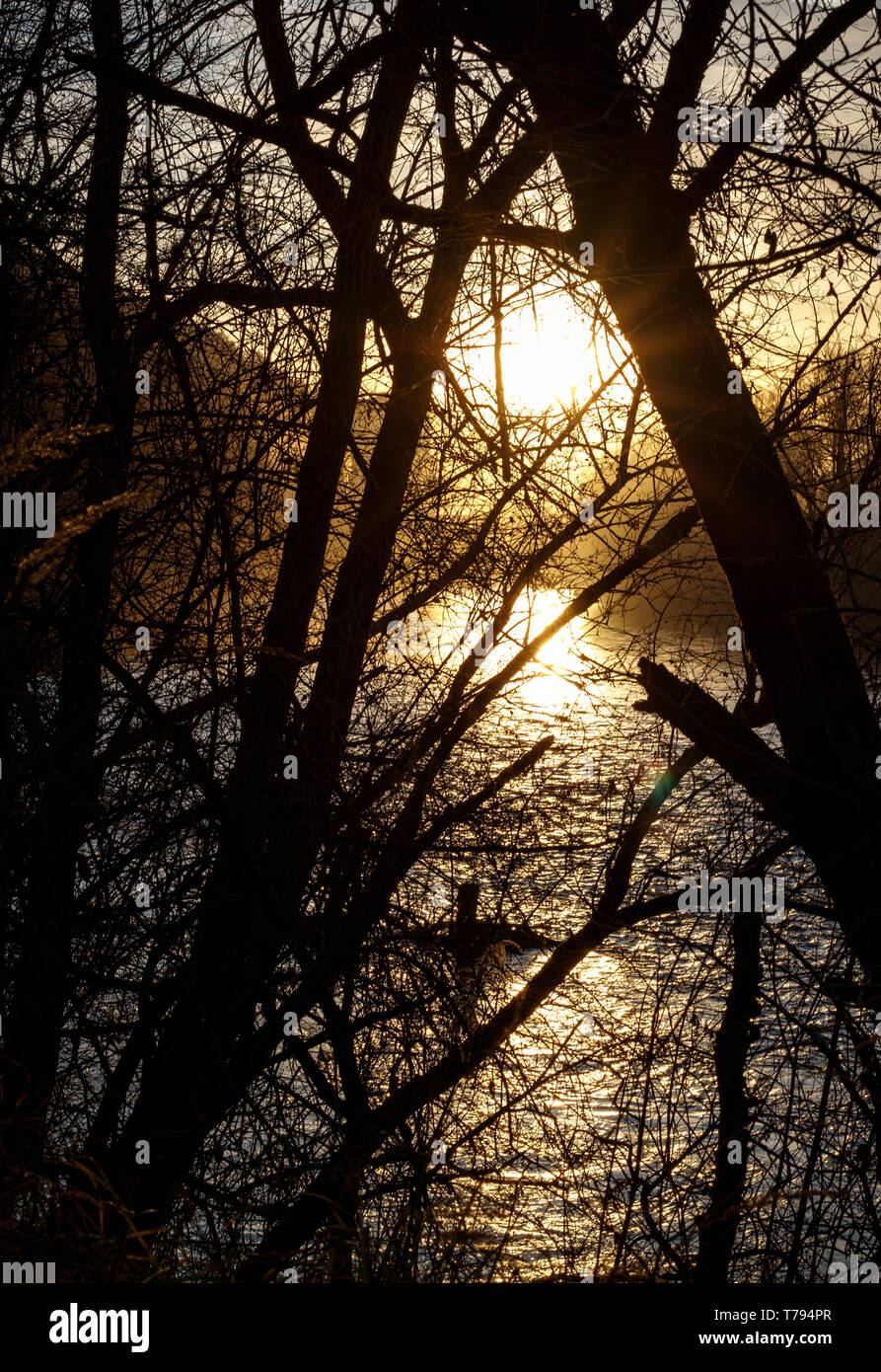 Silhouette hill sunset tree branches hi-res stock photography and ...