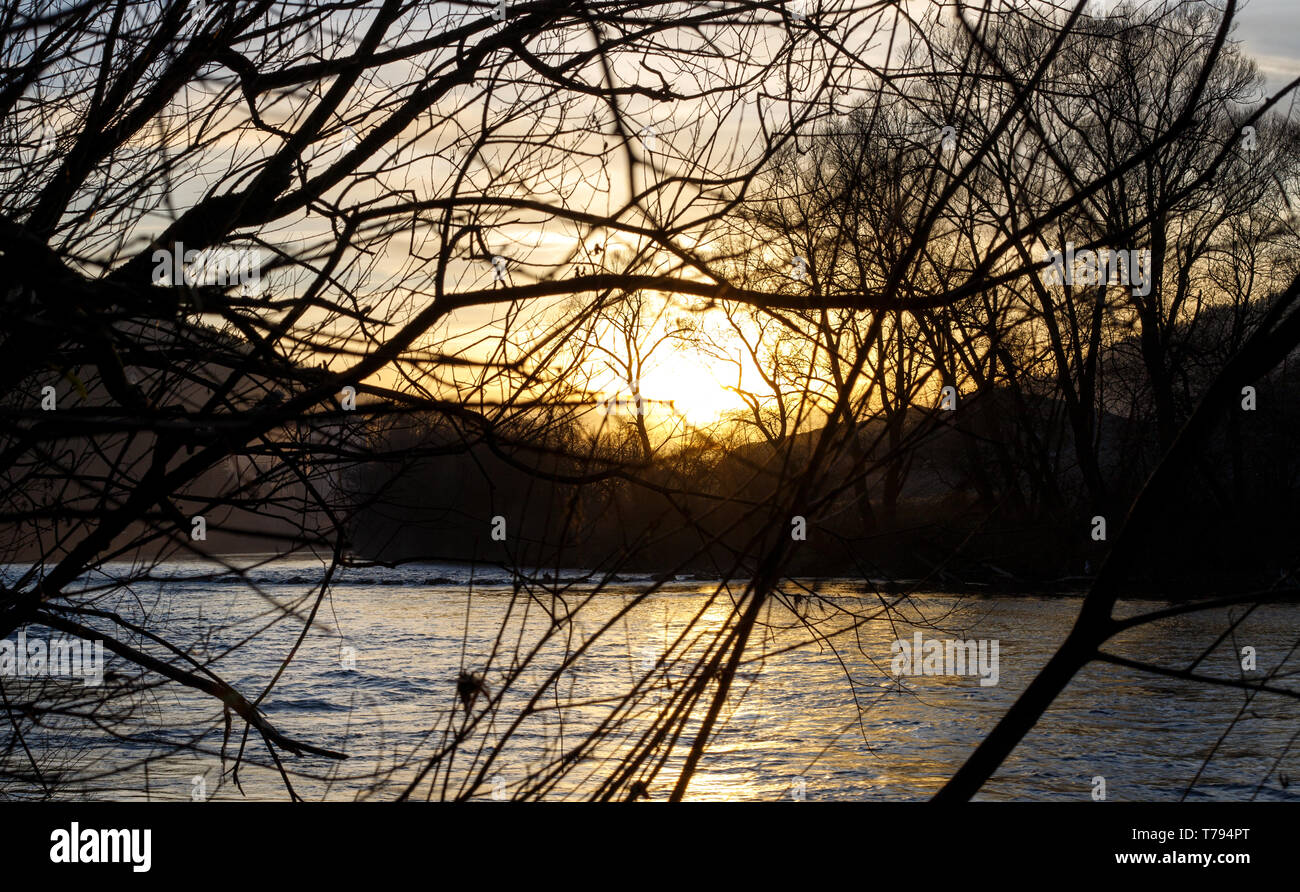Silhouette hill sunset tree branches hi-res stock photography and ...