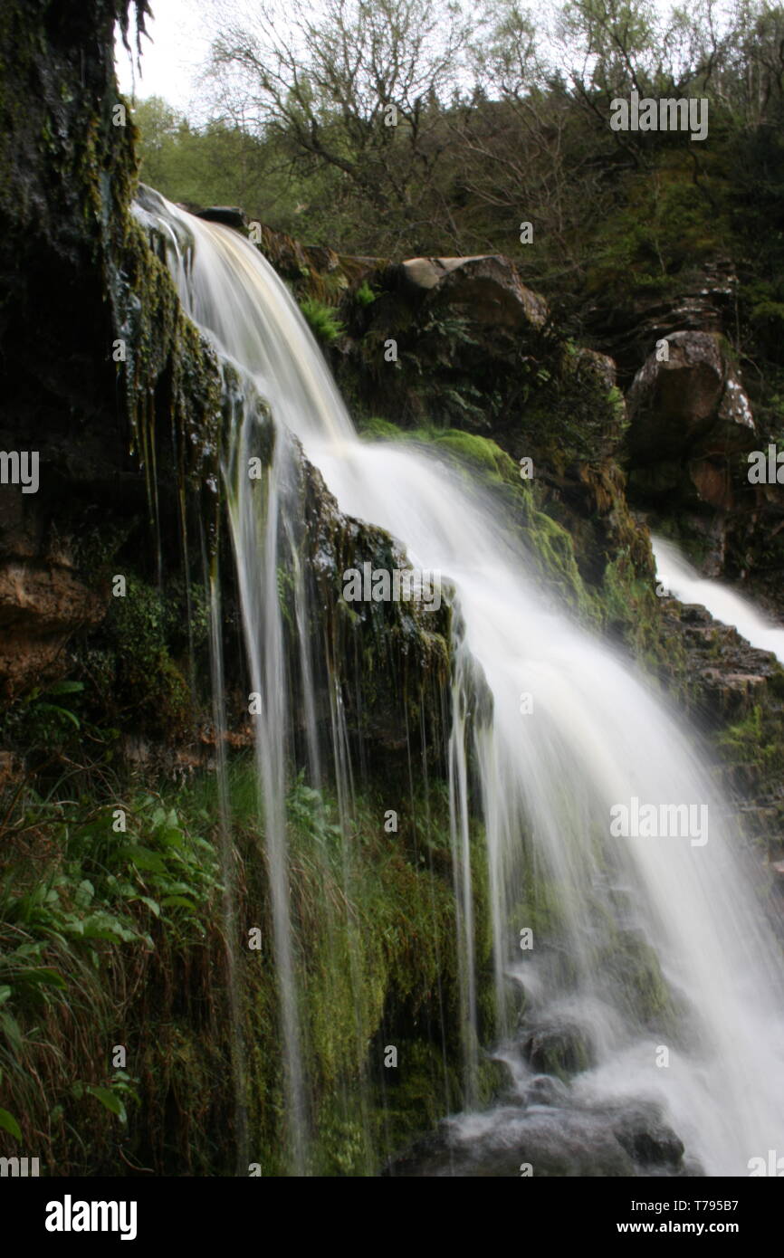 Crammel linn hi-res stock photography and images - Alamy