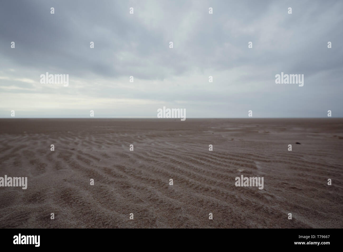 Ground view of sandy beach on cloudy day on seashore. Landscape with ...