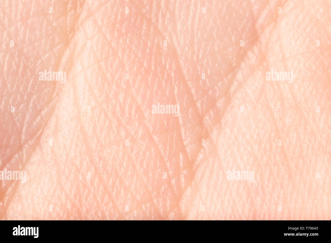 Texture of human skin, closeup Stock Photo - Alamy