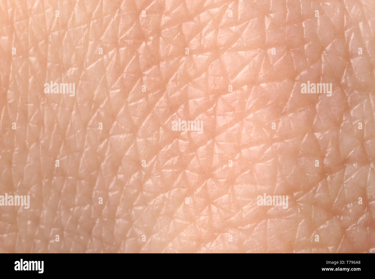 Human skin closeup hi-res stock photography and images - Alamy