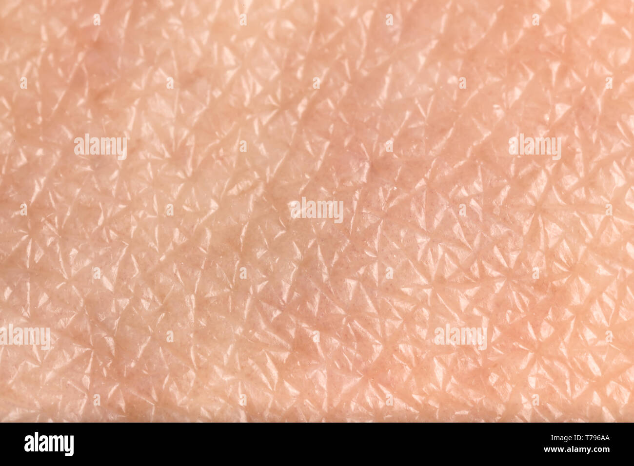 Texture of human skin, closeup Stock Photo - Alamy