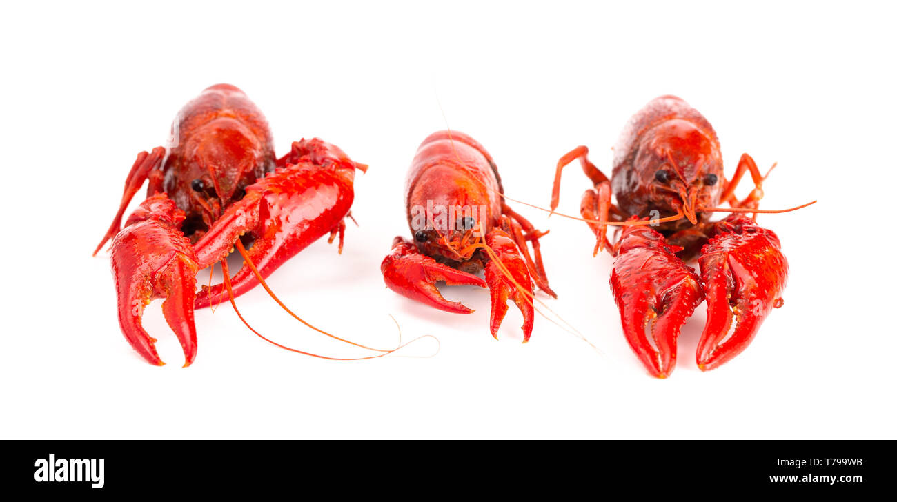 Cajun crawfish Cut Out Stock Images & Pictures - Alamy