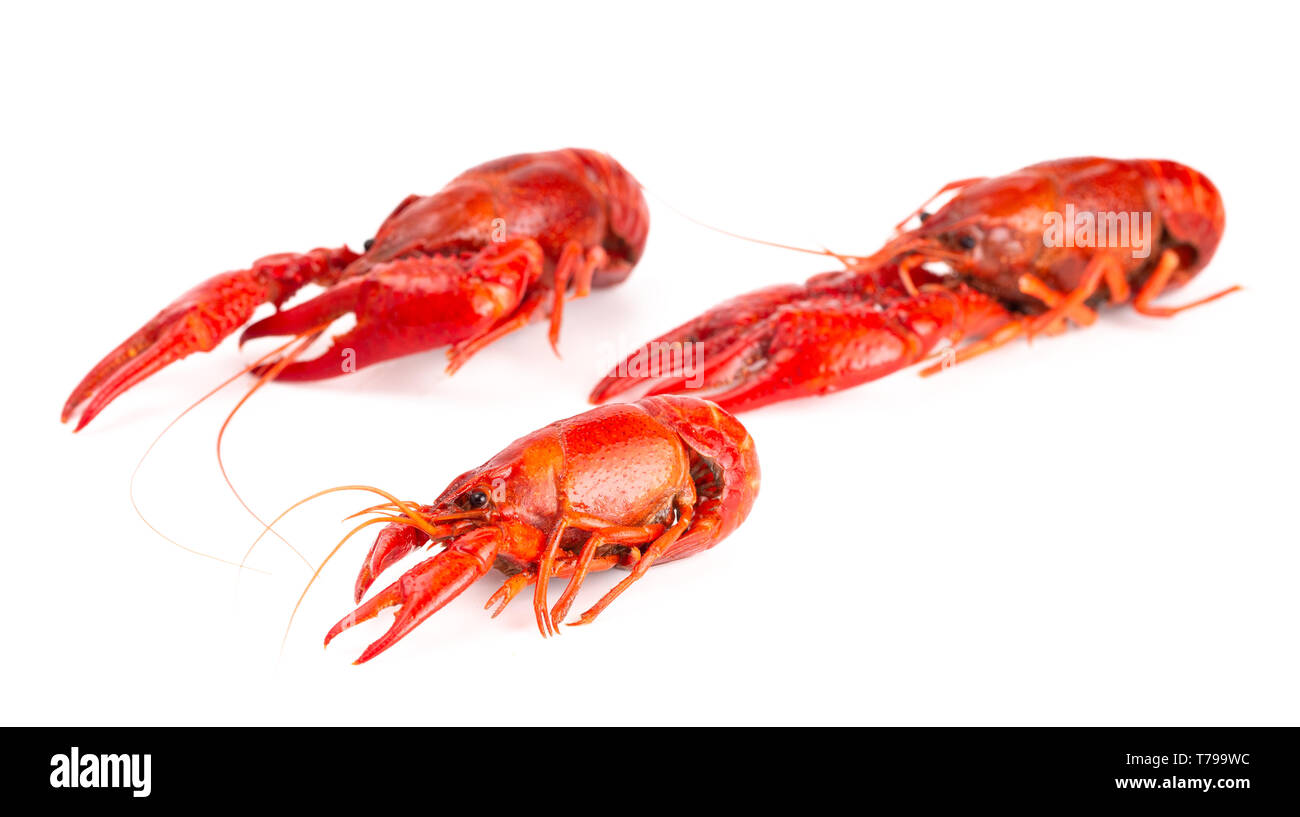 Cajun crawfish Cut Out Stock Images & Pictures - Alamy