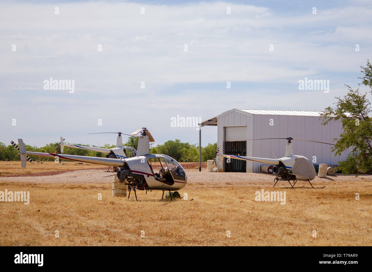 Helicopters ready for the muster on a cattle station Stock Photo - Alamy