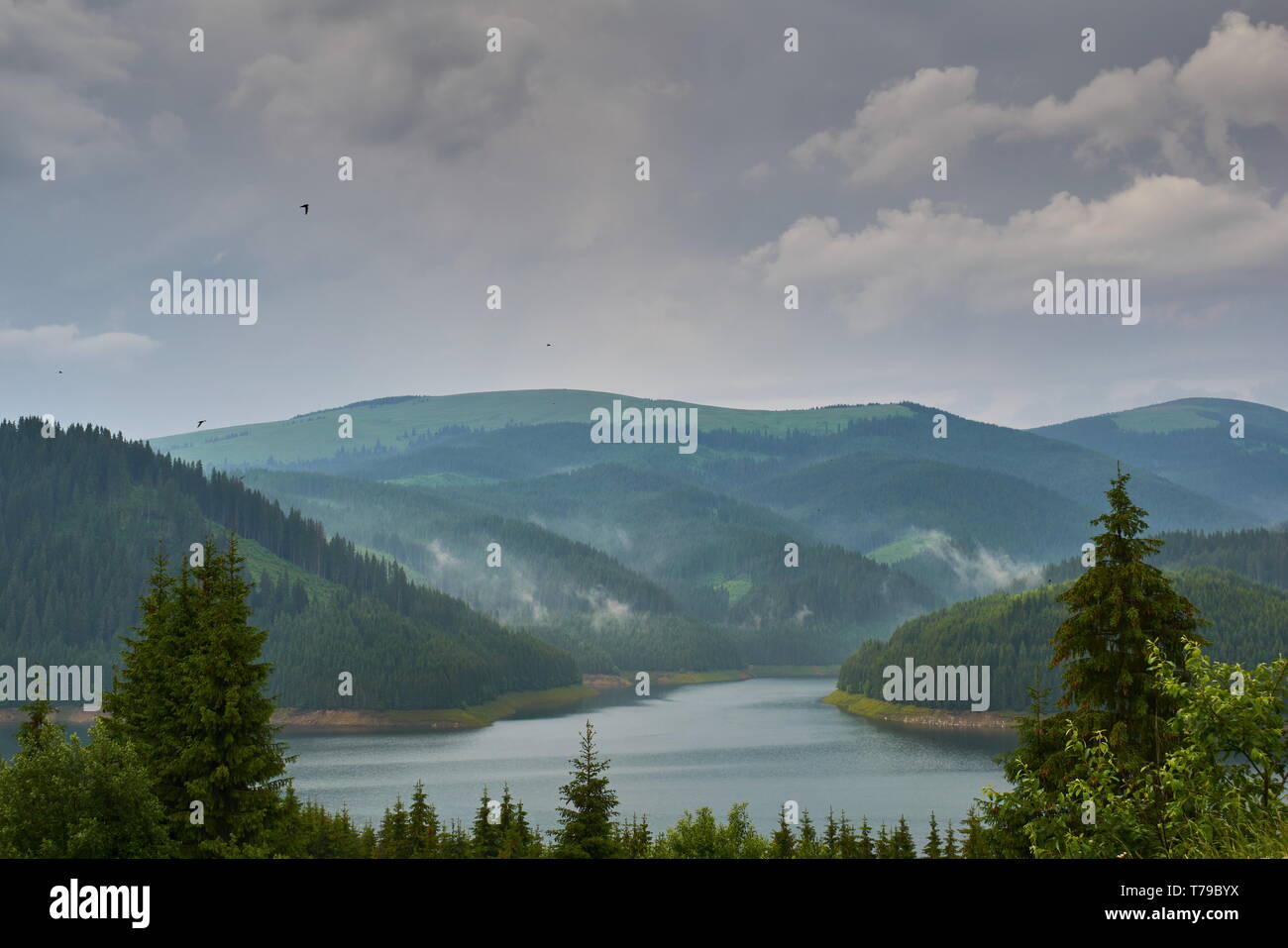 Lake Vidra in mountains Stock Photo - Alamy