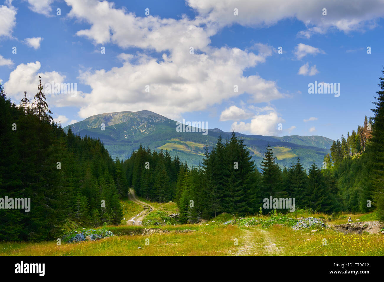 Blue sky over the peak of the mountain and a road in the forest with ...