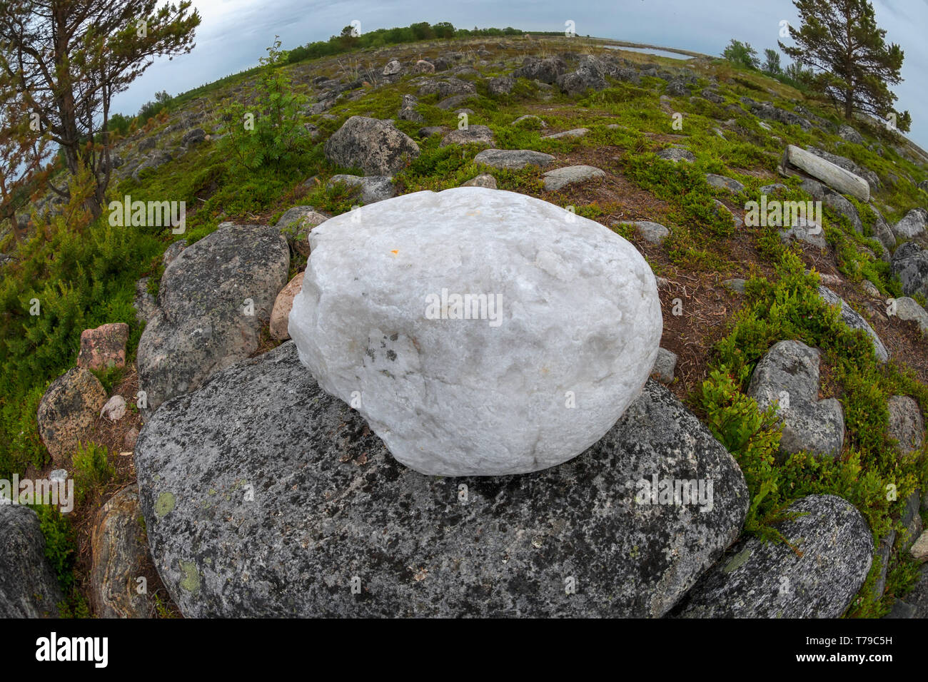 Large quartz boulder in the tundra on the shore of the White Sea Stock ...