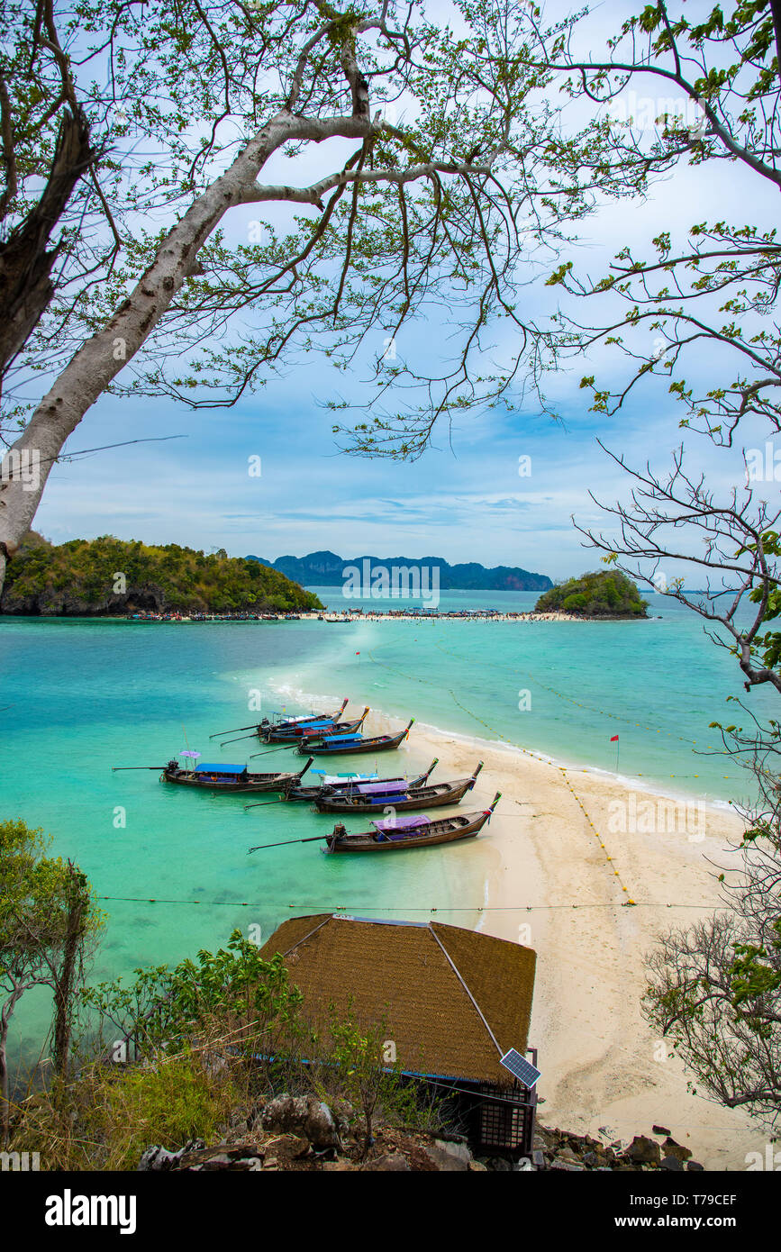 Waek hi-res stock photography and images - Alamy