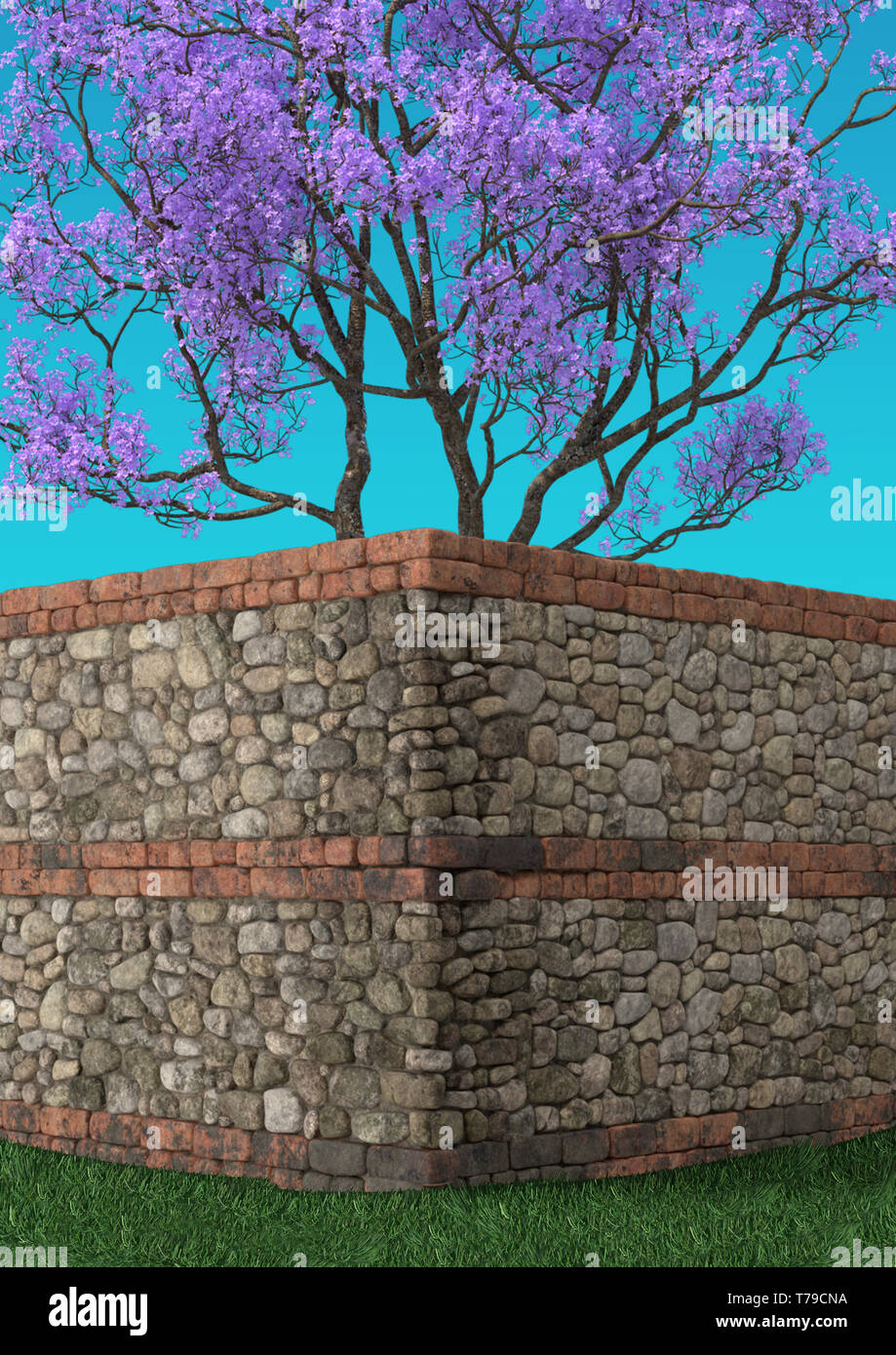 Mauve tree hi-res stock photography and images - Alamy