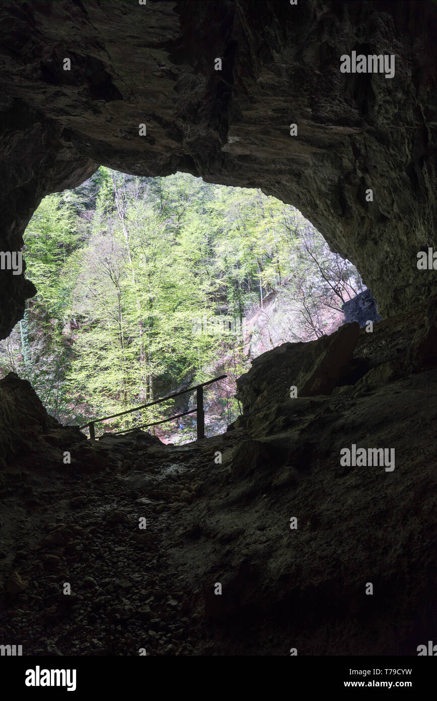 Looking out of its cave hi-res stock photography and images - Alamy
