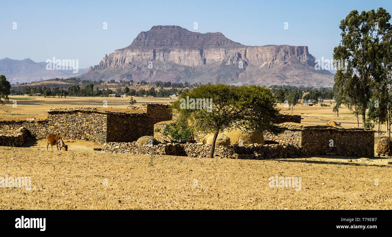 Landscape in Gheralta in Tigray, Northern Ethiopia Stock Photo - Alamy
