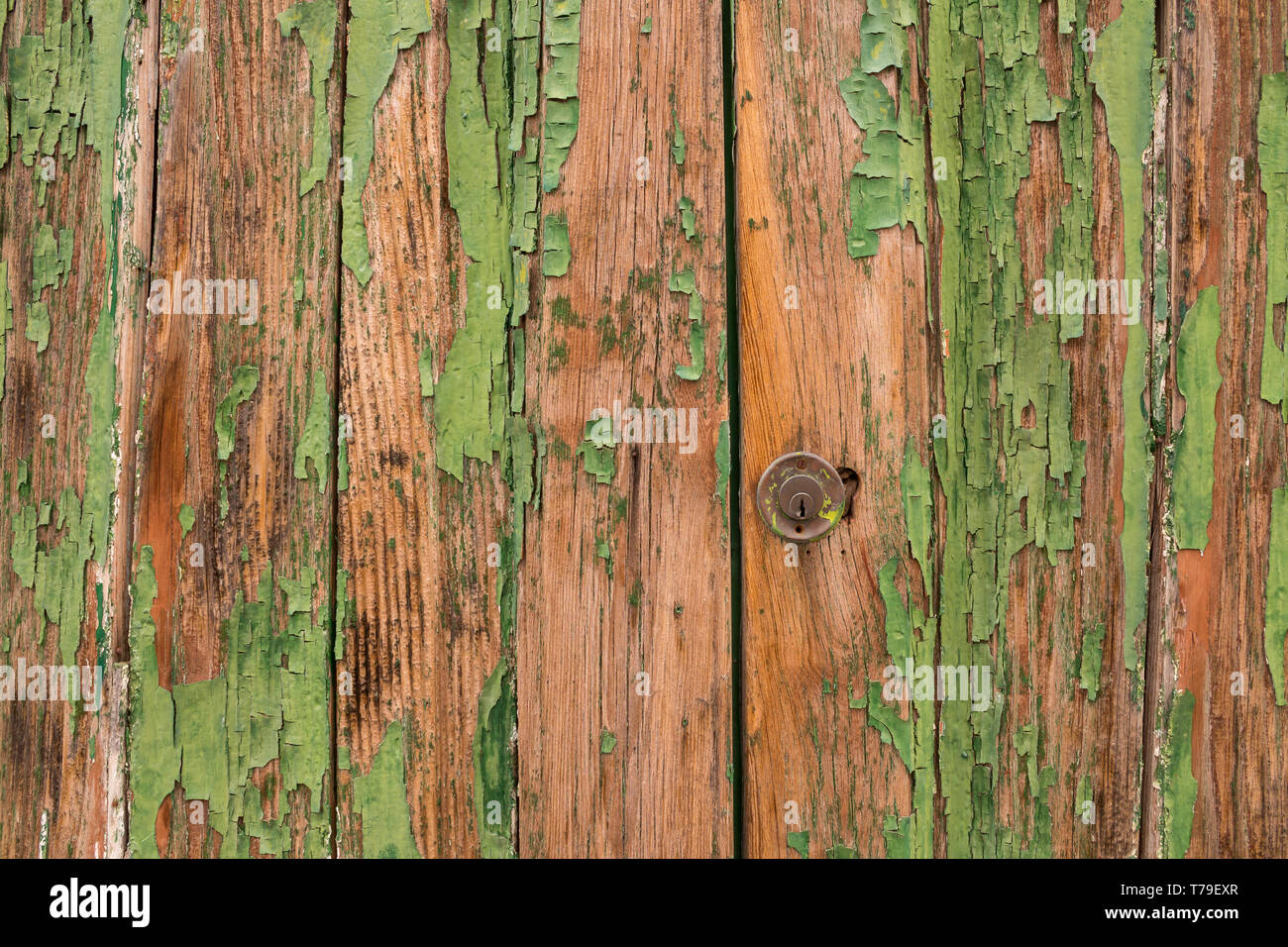 Wooden gate made of planks, with a peeled off green color, which is ...