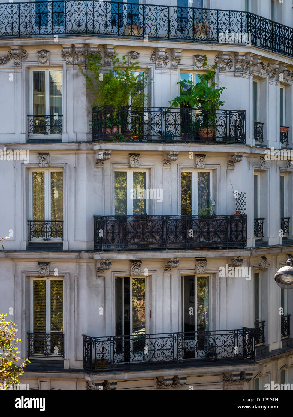 Paris residential buildings. Old Paris architecture, beautiful facade ...
