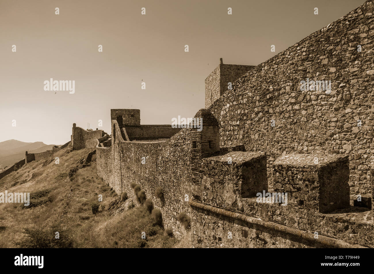 Outer curtain walls hi-res stock photography and images - Alamy