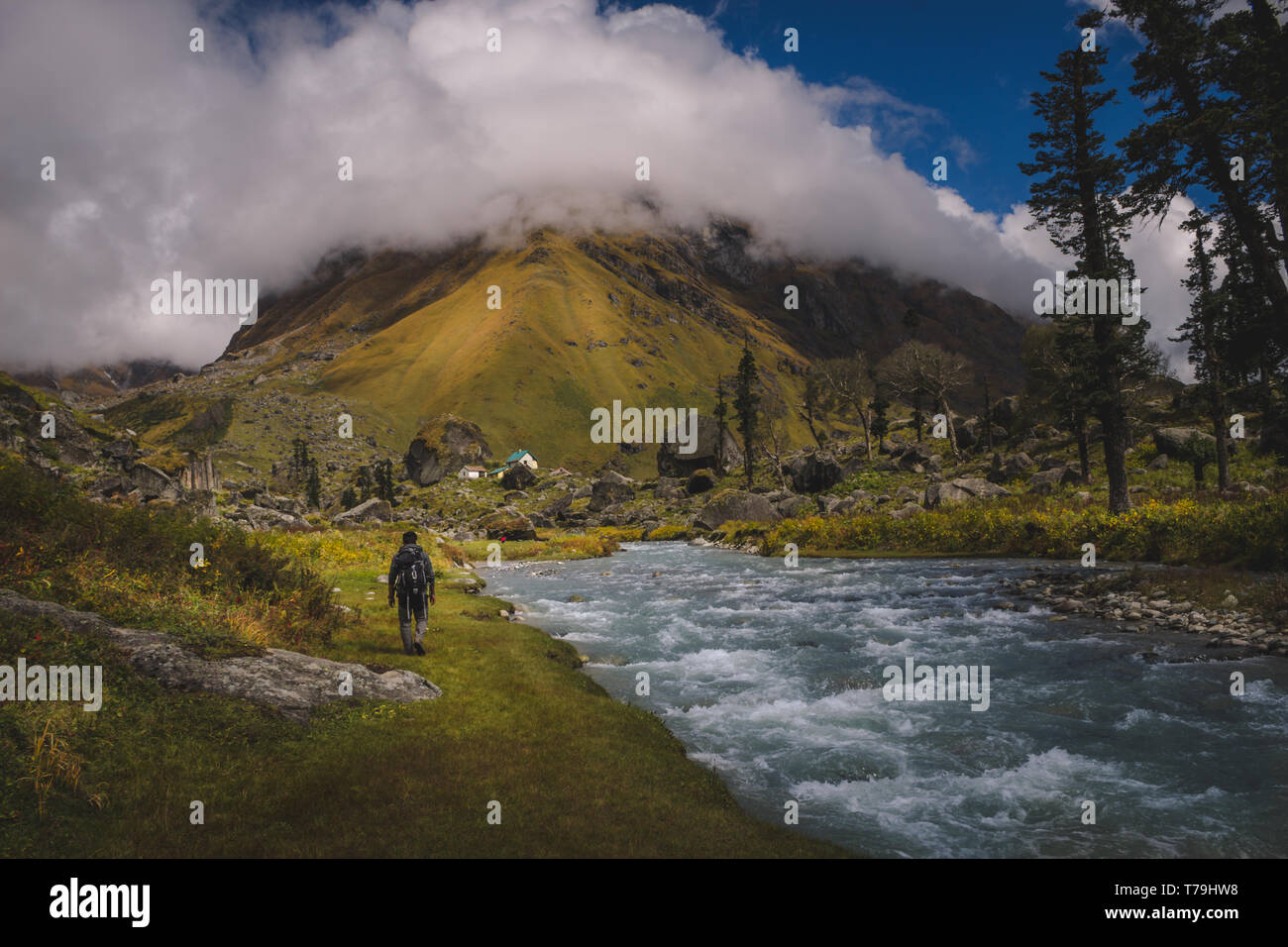 Alexander supertramp hi-res stock photography and images - Alamy