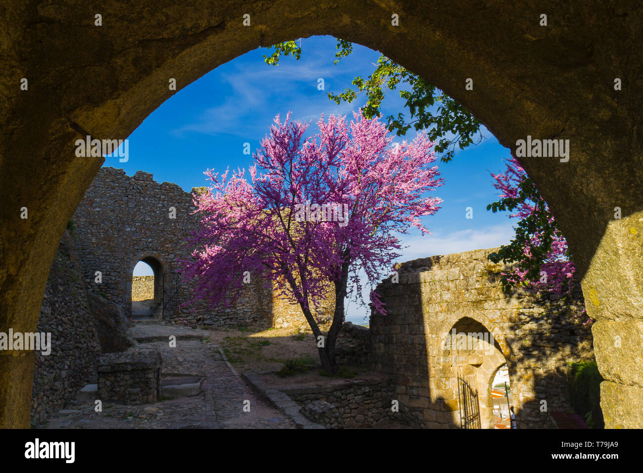 Montanchez hi-res stock photography and images - Alamy