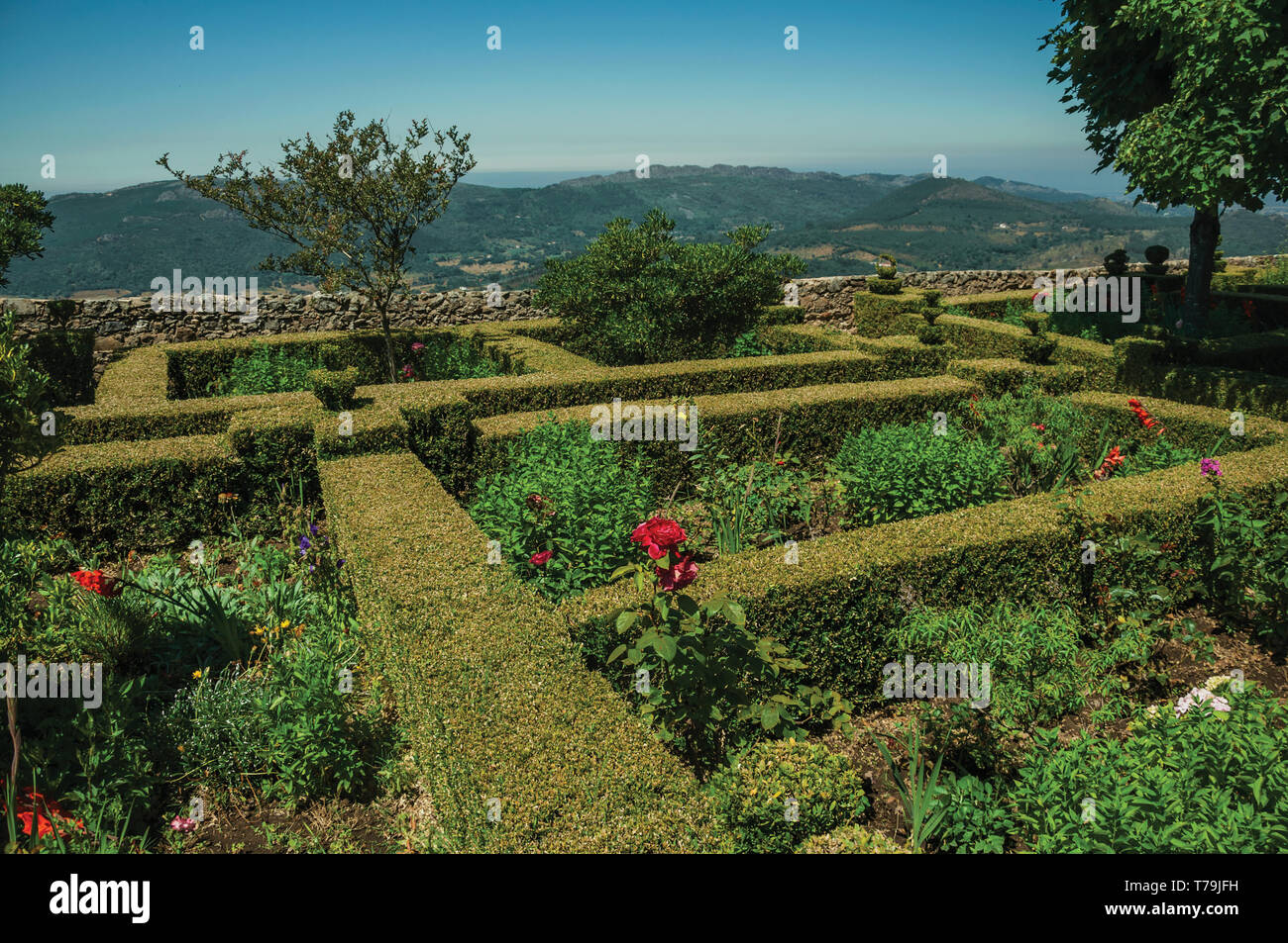 Leafy quickset and bushes in a flowered garden with hilly landscape ...