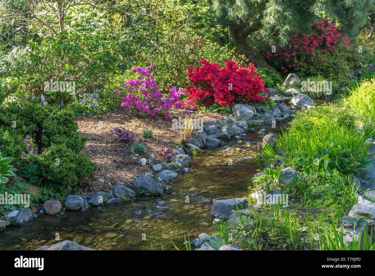 A stream with rock flows through a garden Stock Photo - Alamy
