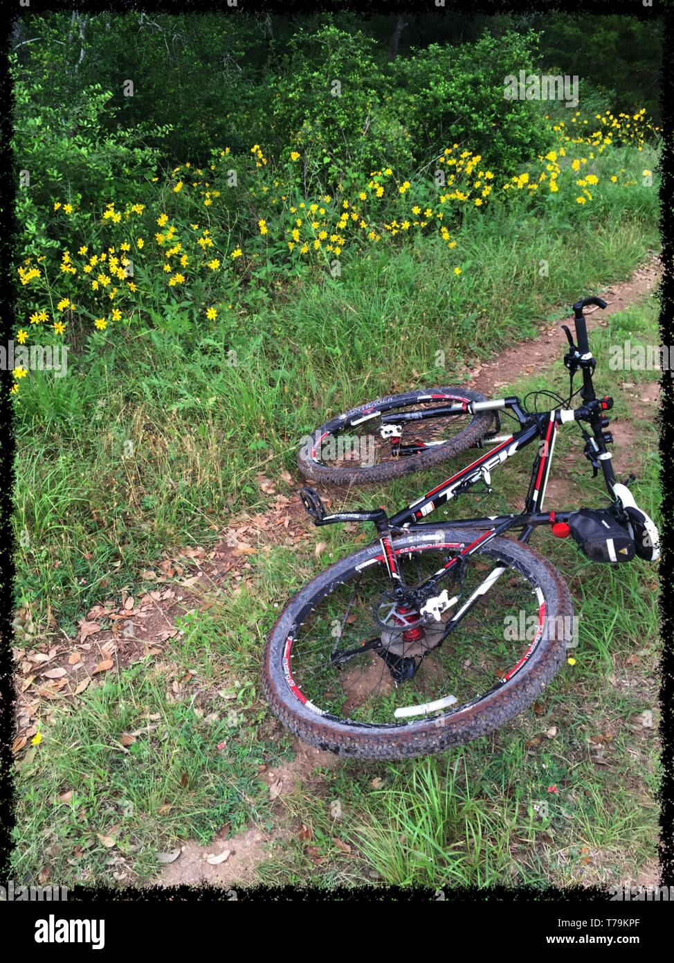 Texas hill country views hi-res stock photography and images - Alamy