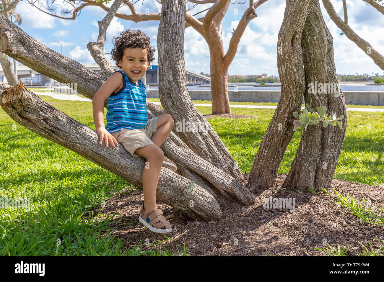 Curved tree trunk hi-res stock photography and images - Alamy