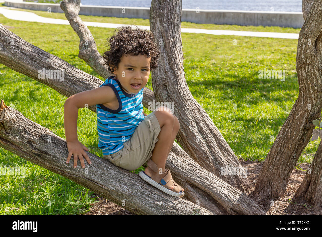 The toddler carefully rests on the tree trunk. A small boy sits on the ...