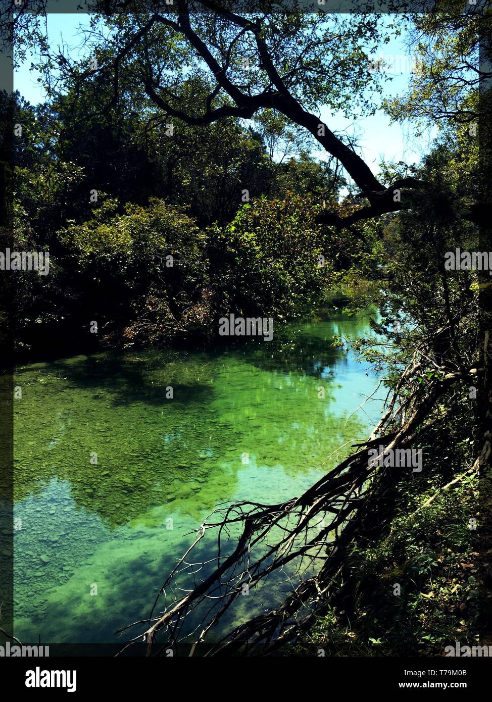 Barton creek hi-res stock photography and images - Alamy