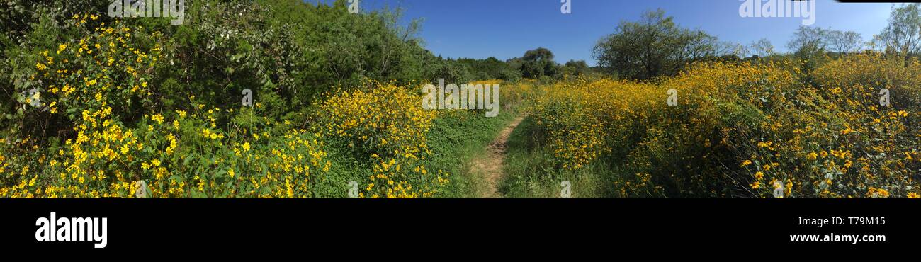 Texas hill country views hi-res stock photography and images - Alamy