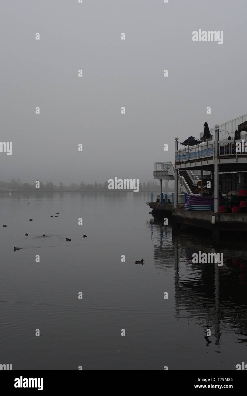 Dow's Lake Pavilion with ducks swimming by on a misty Fall day, Ottawa ...