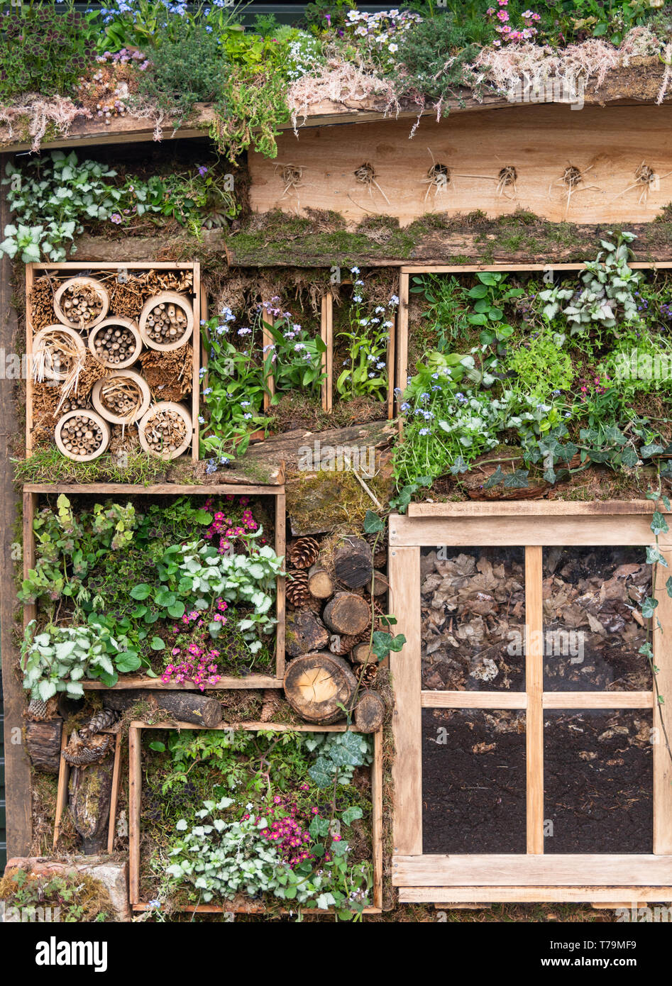 Vertical gardening display Stock Photo - Alamy