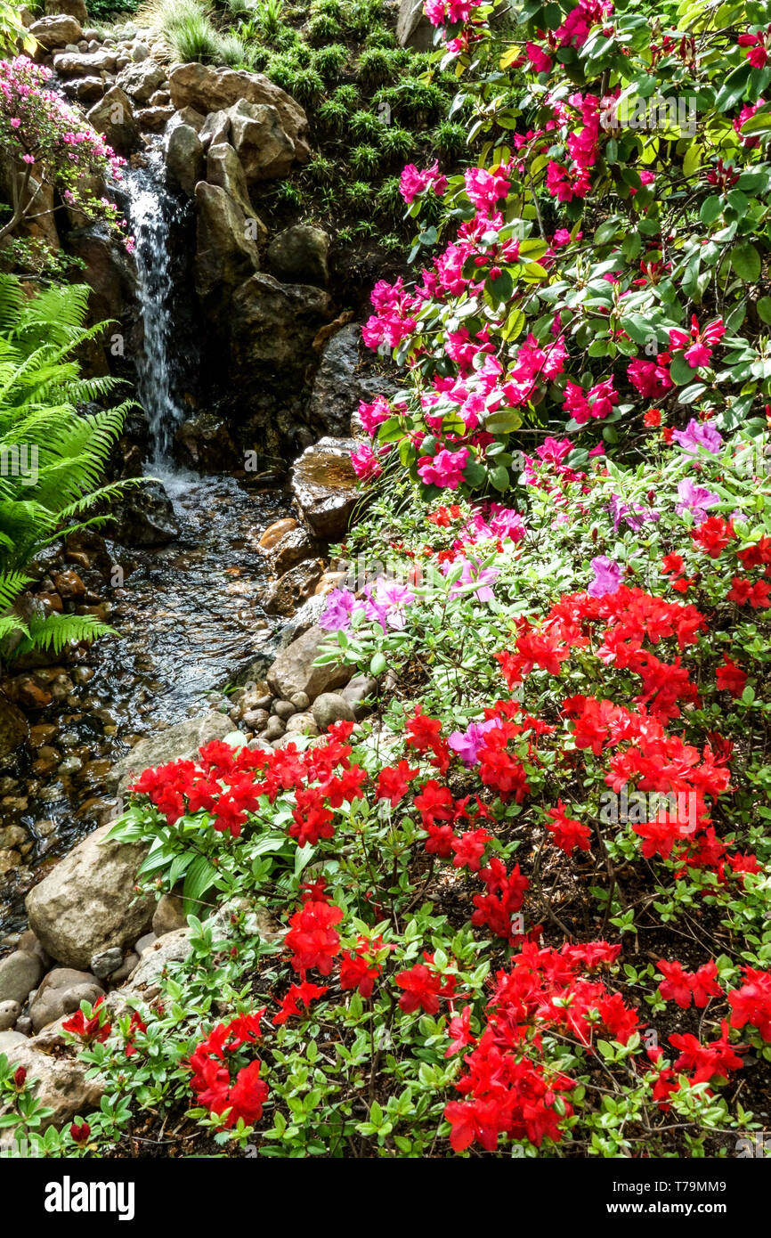 The most beautiful spring scenery hi-res stock photography and images ...