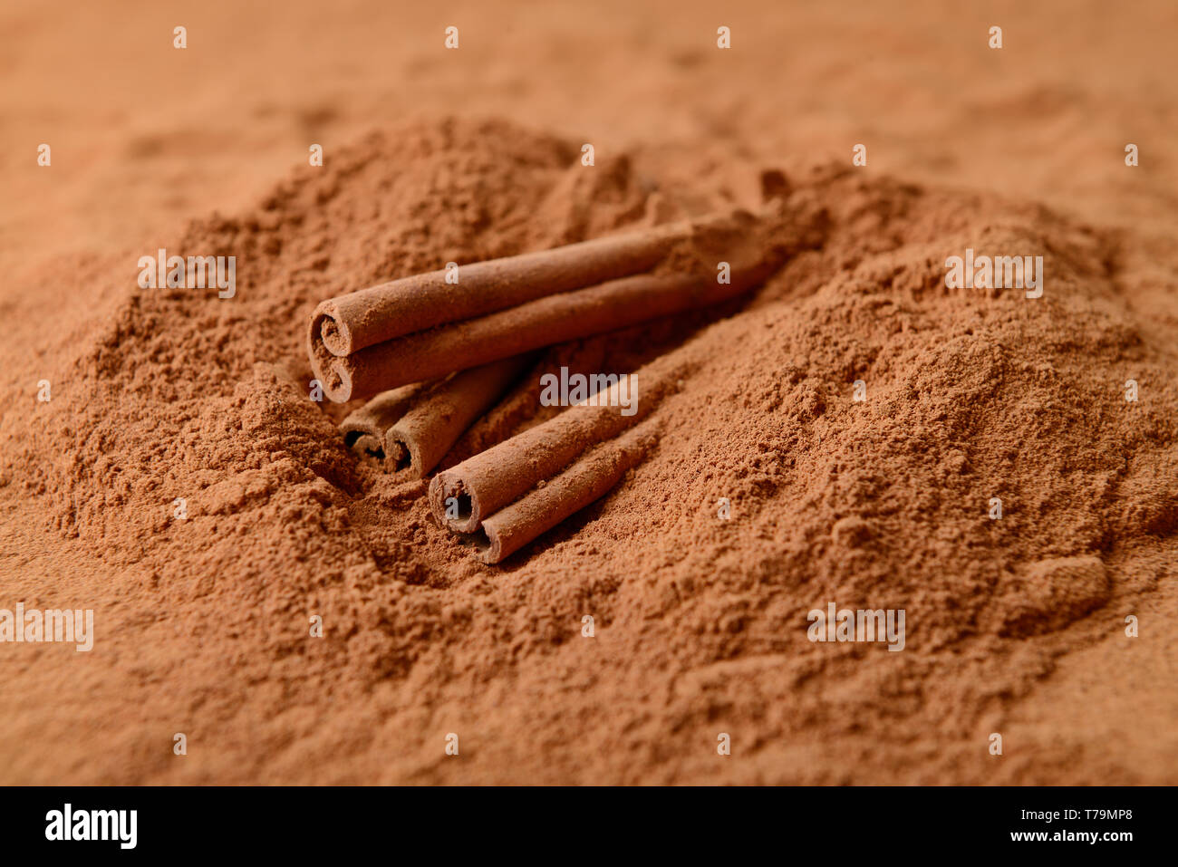 Cinnamon sticks in powder, closeup Stock Photo - Alamy