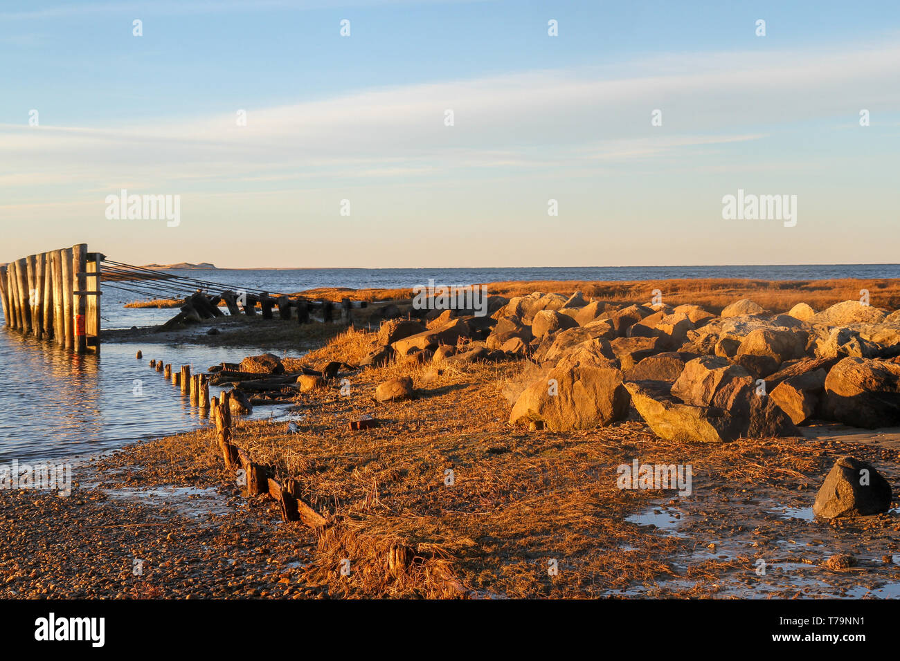 Landscape, Cape Cod, Massachusetts, United States Stock Photo - Alamy
