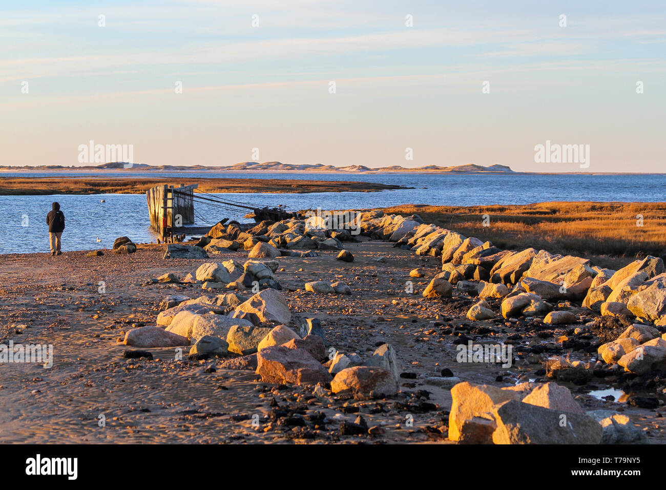 Landscape, Cape Cod, Massachusetts, United States Stock Photo - Alamy
