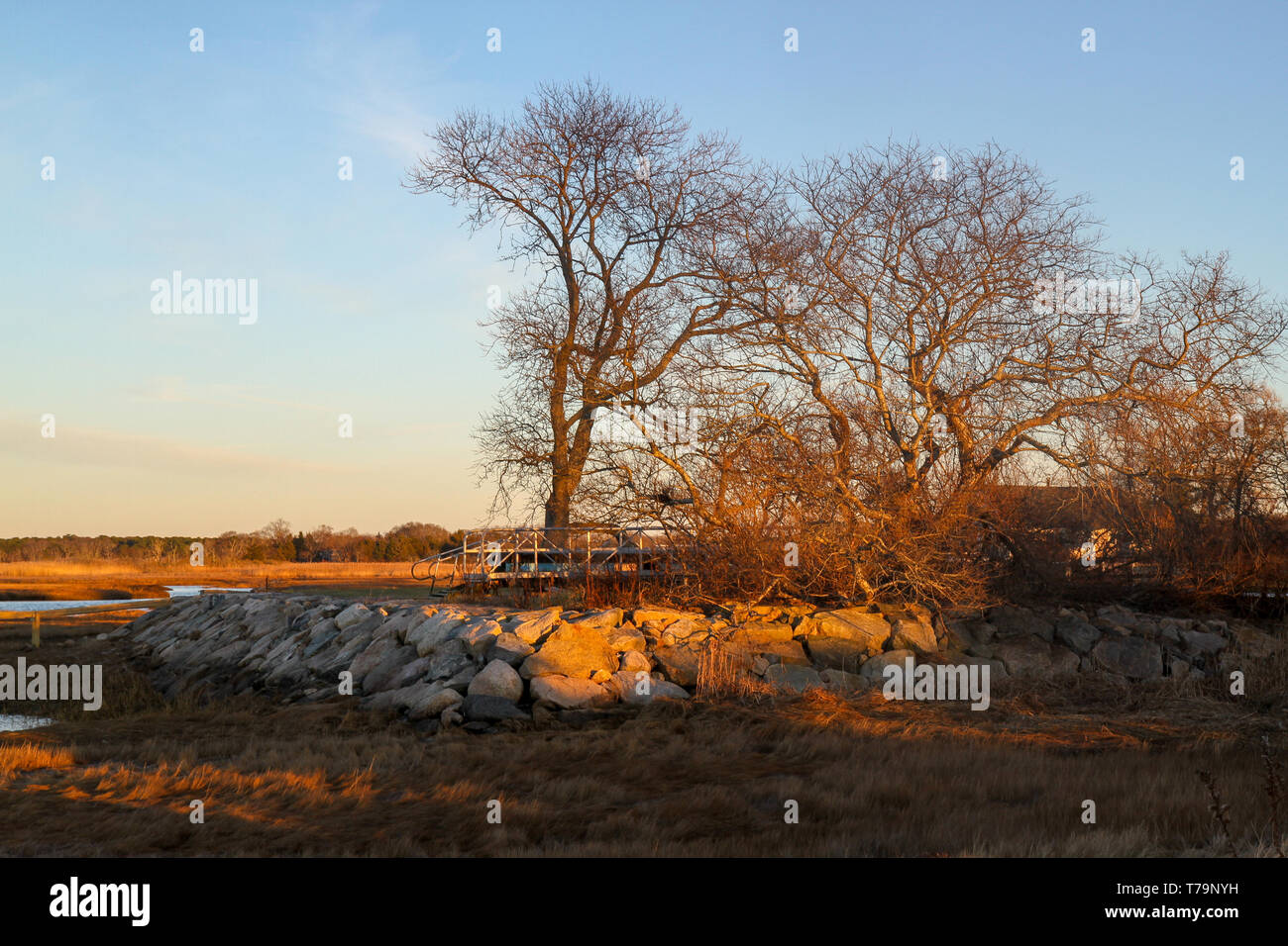 Landscape, Cape Cod, Massachusetts, United States Stock Photo - Alamy