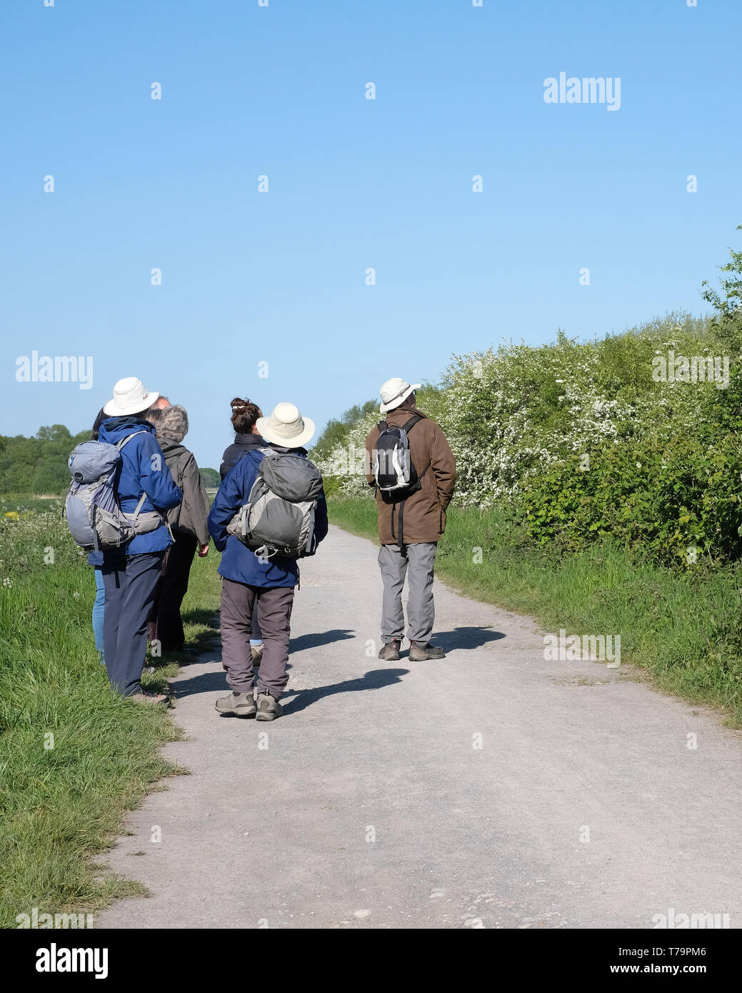 Group guided walk hi-res stock photography and images - Alamy