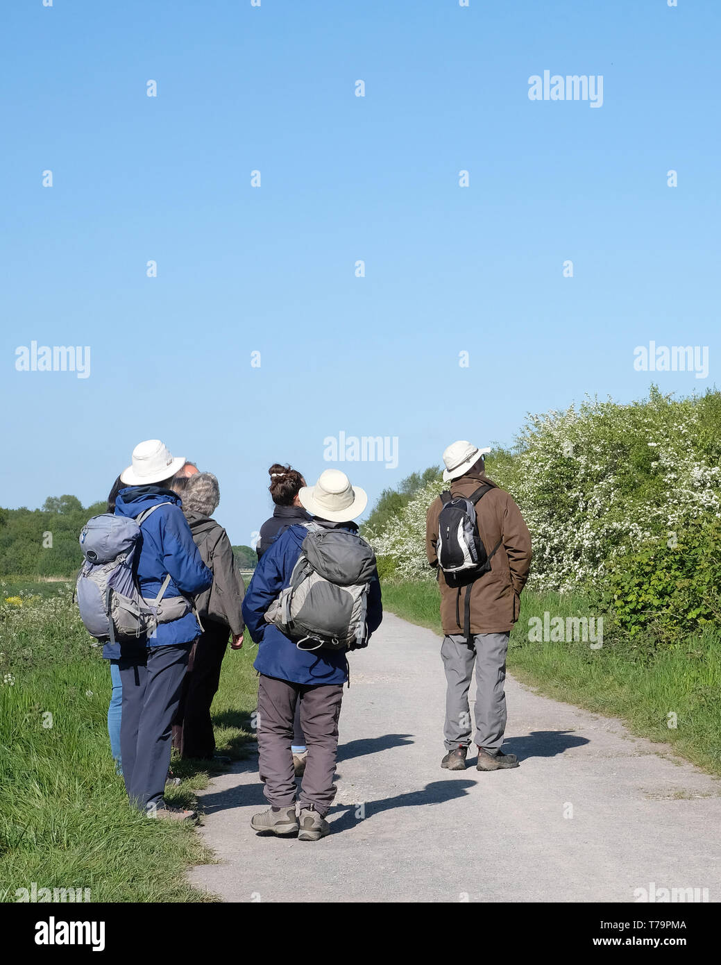 May 2019 - a guided walk in the countryside Stock Photo - Alamy