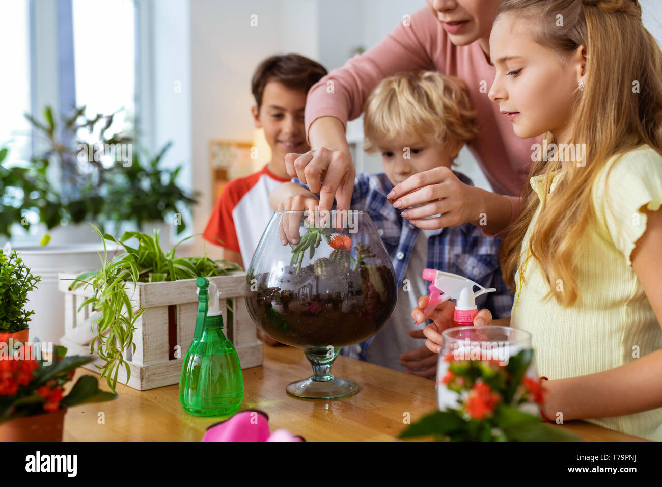 Planting little succulent. Close up of teacher and smart cute pupils ...