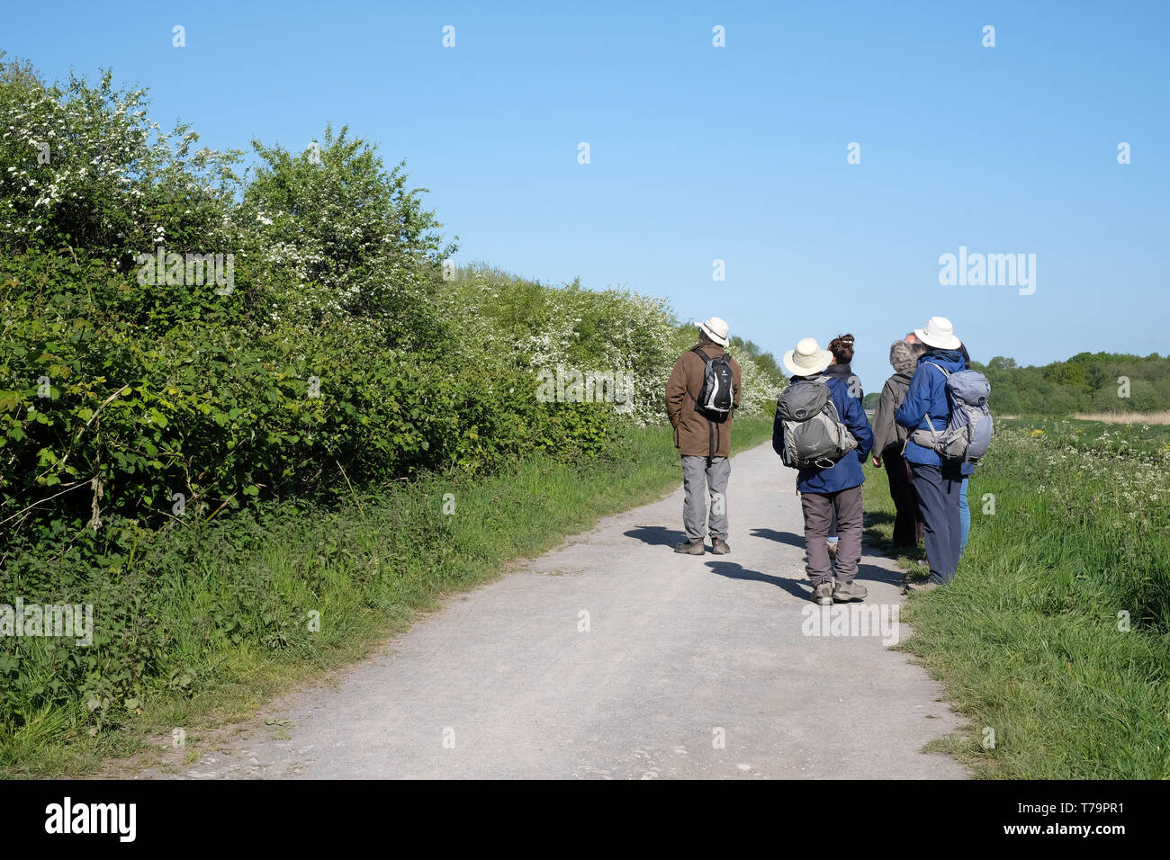 May 2019 - a guided walk in the countryside Stock Photo - Alamy