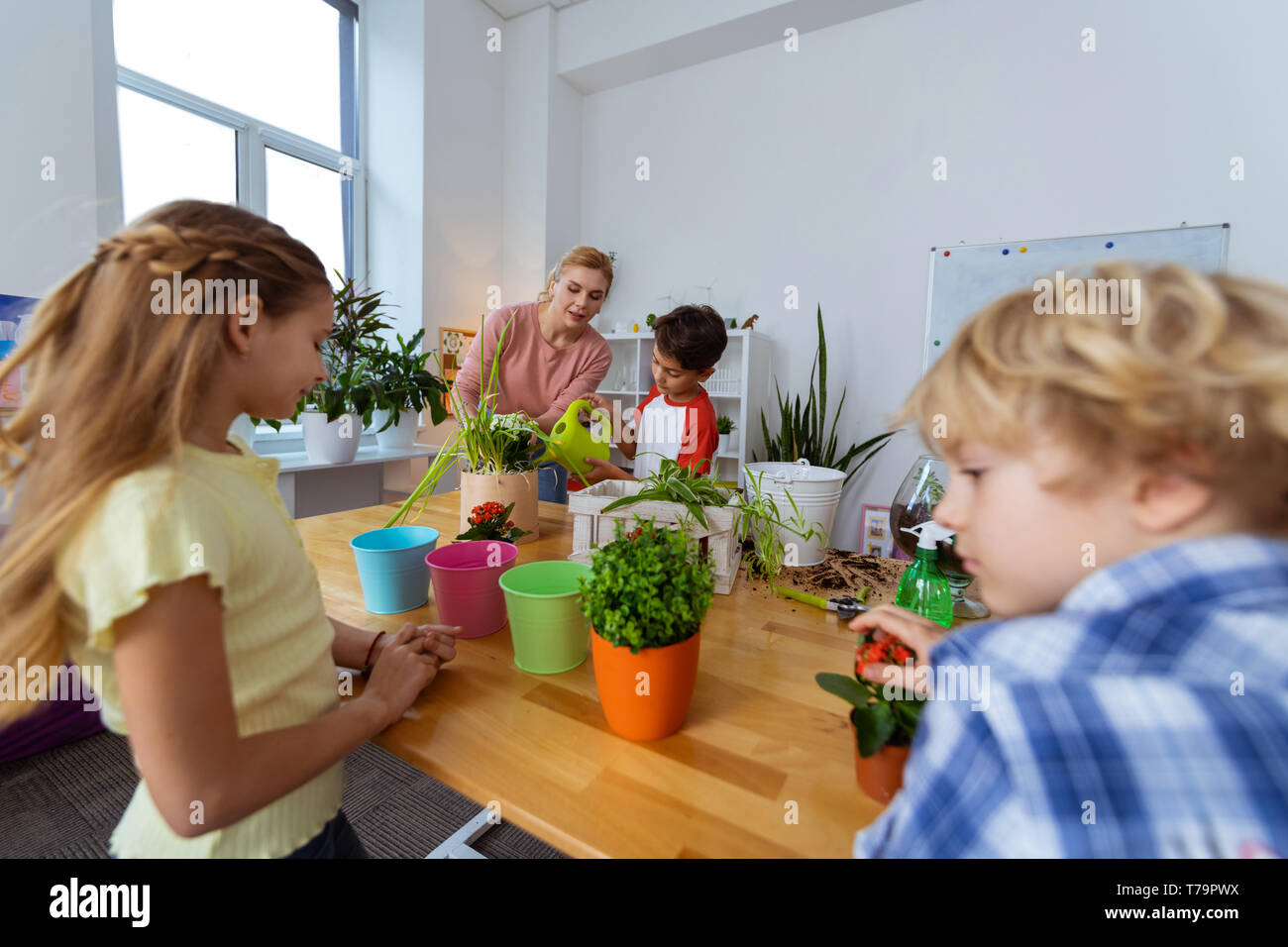 Pot plants classroom hi-res stock photography and images - Alamy