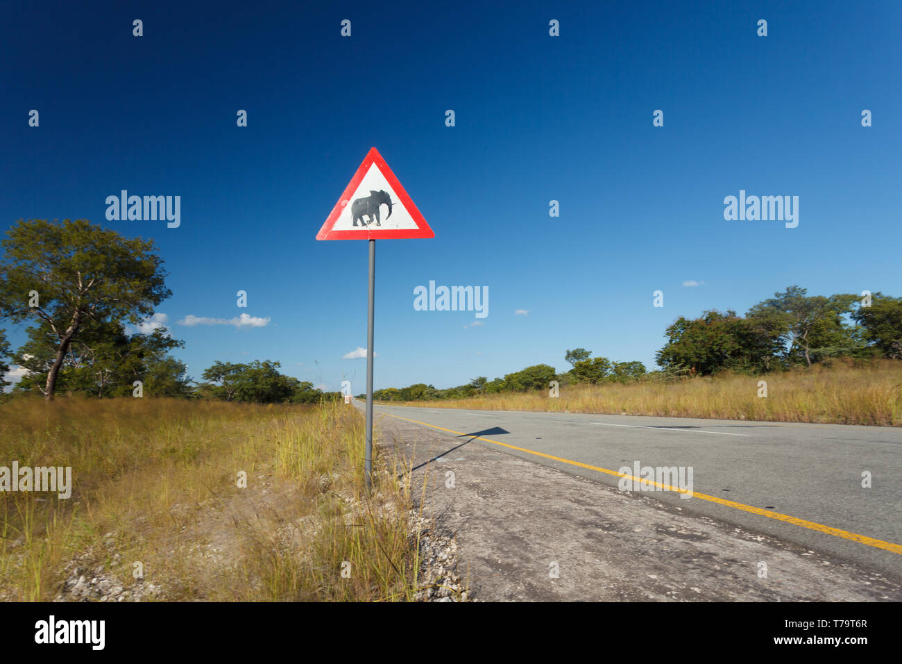 Traffic Sign Caution Elephants Stock Photos & Traffic Sign Caution ...