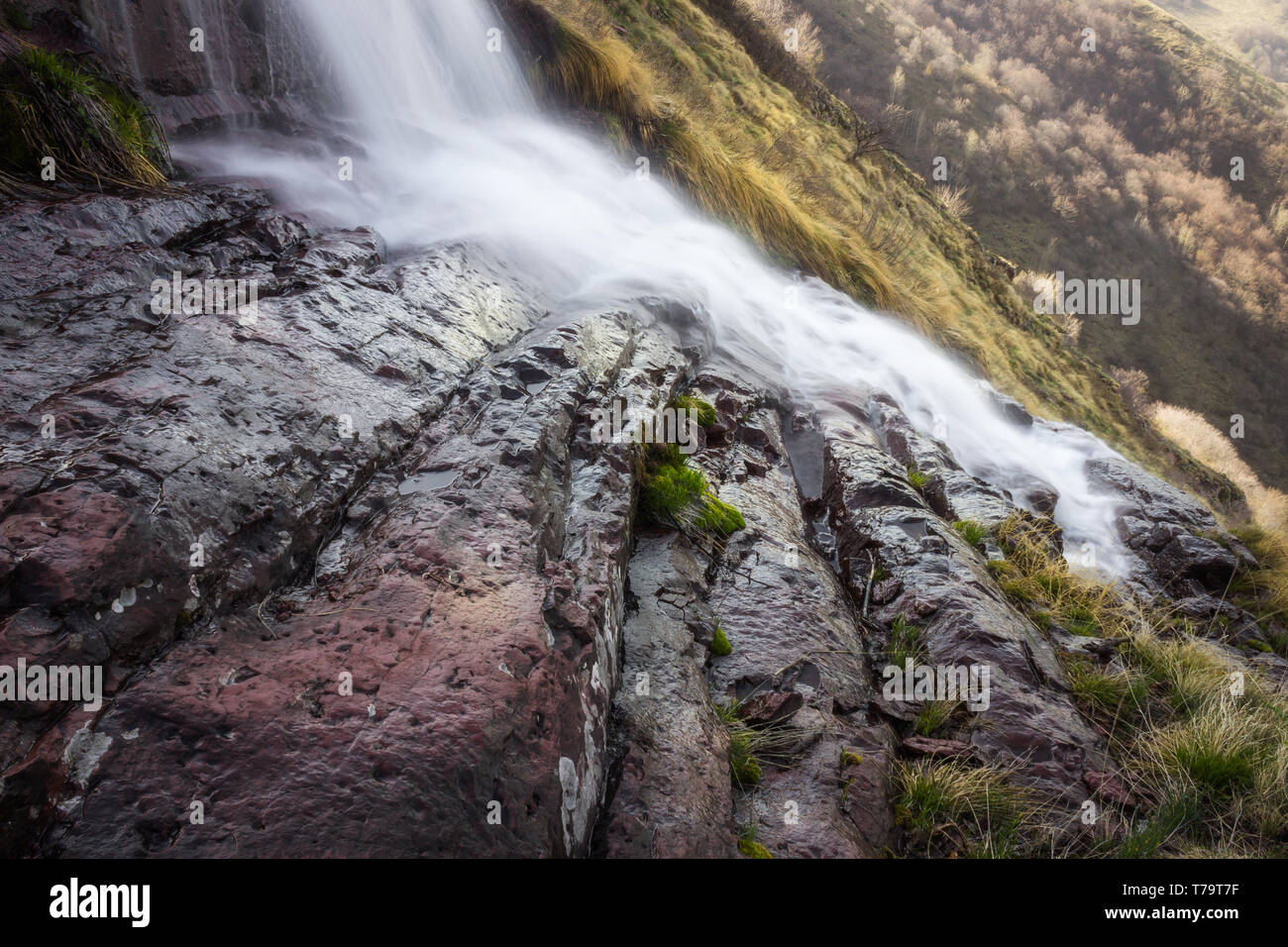 Low down low perspective hi-res stock photography and images - Alamy