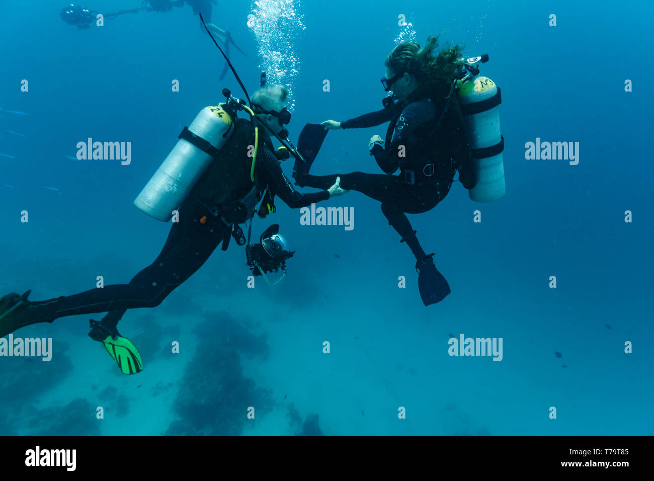 Closeup of team of scuba divers descending into turquoise tropical ...